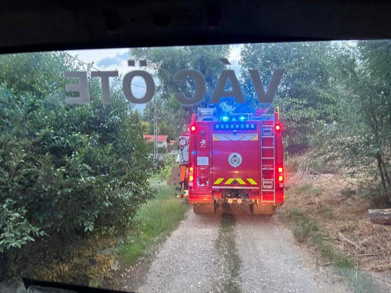 Egy fa kidőlt Gödön a Pesti úton - godihirnok.hu